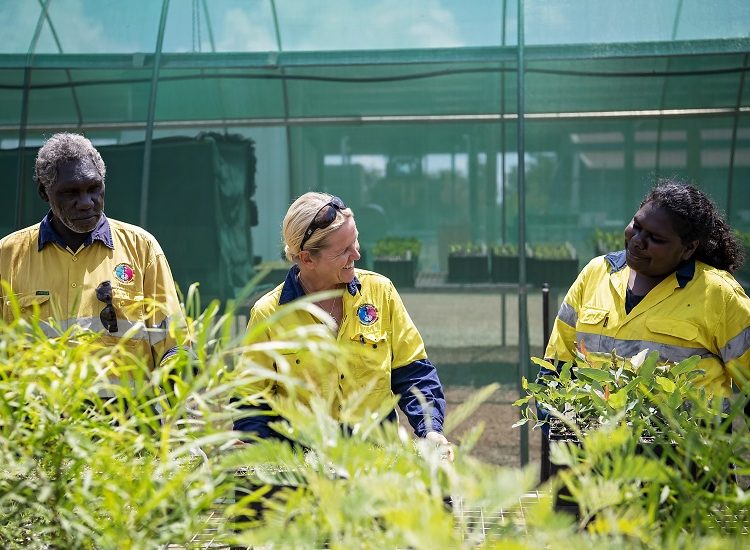 Gulkula Mining Company » Developing East Arnhem